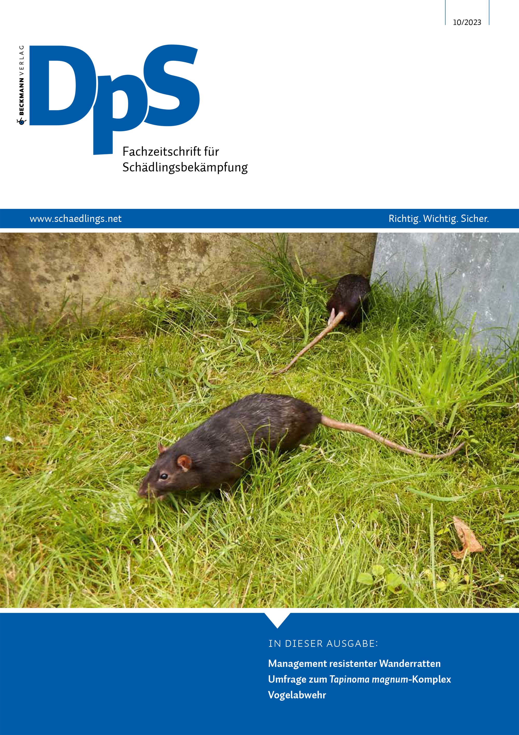 DpS Oktober 2023: Wanderratten, Drohnen & Tapinoma magnum – Beckmann ...