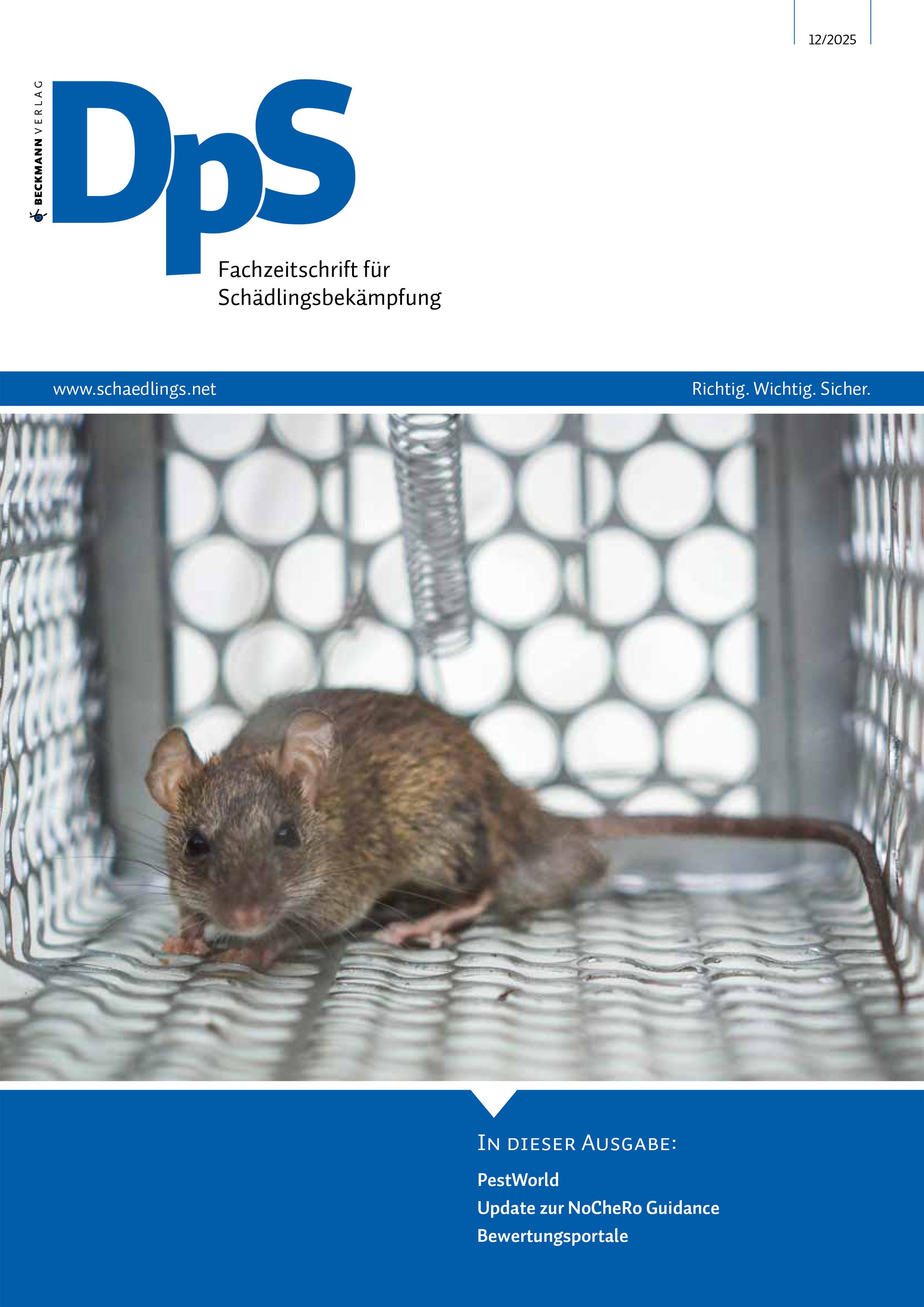 DpS Dezember 2025 – Beckmann Verlag GmbH & Co. KG - DpS